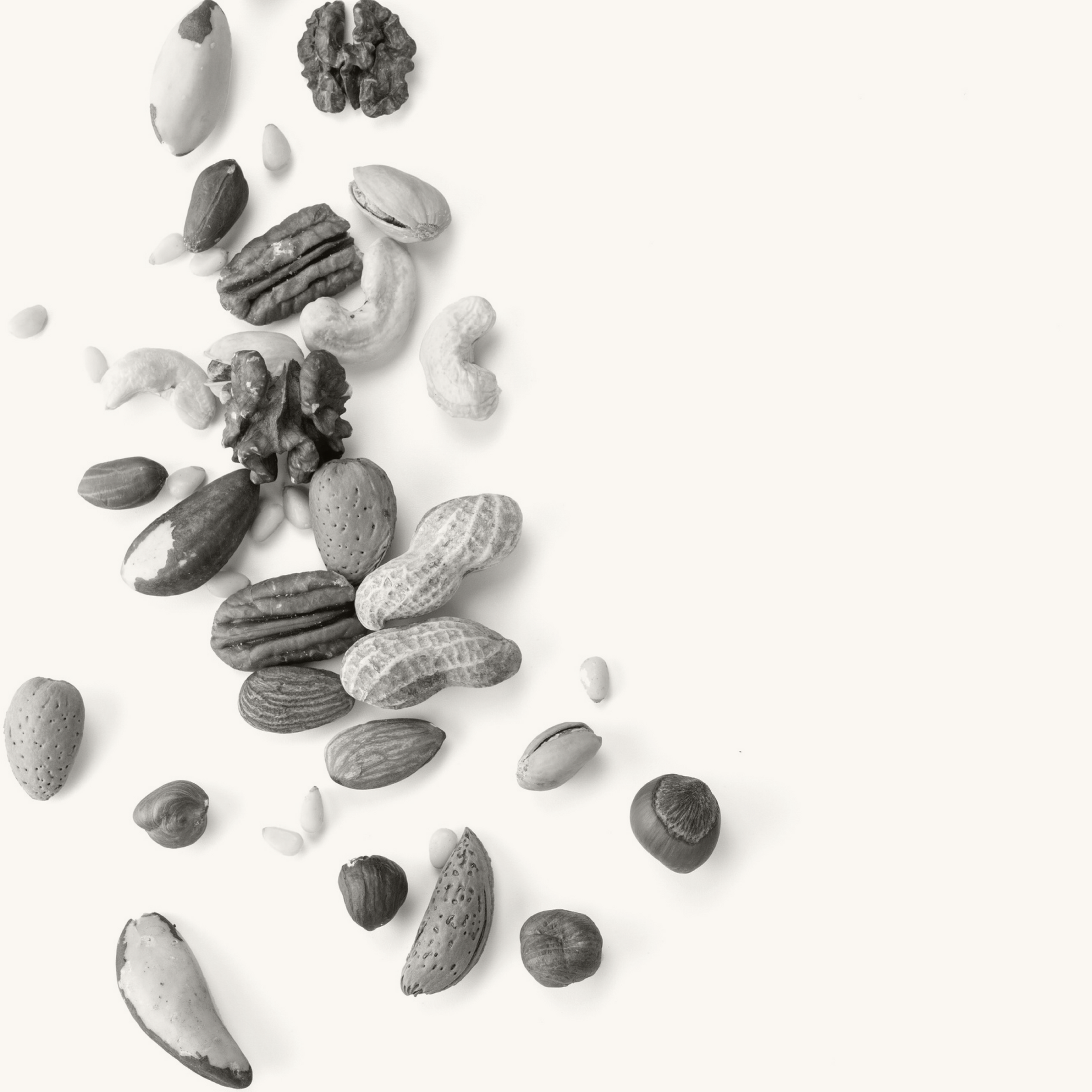 Hospitality Training Courses | Level 2 Allergen Course | Chefs for Chefs